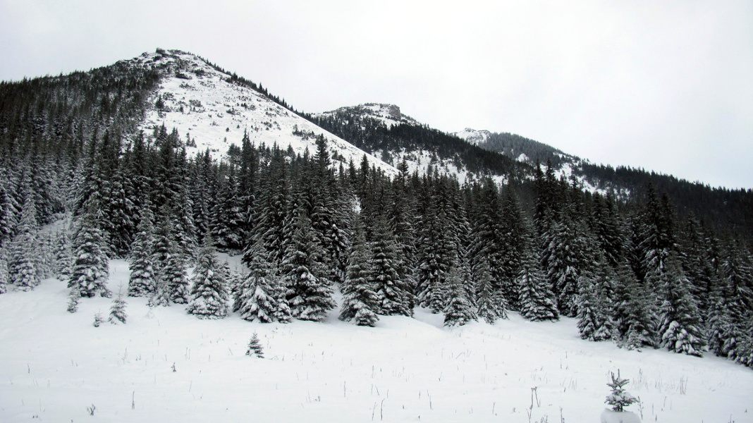 Galería Inout Viajes - Los Montes Tatra y Zakopane - PN de Tatra Polonia