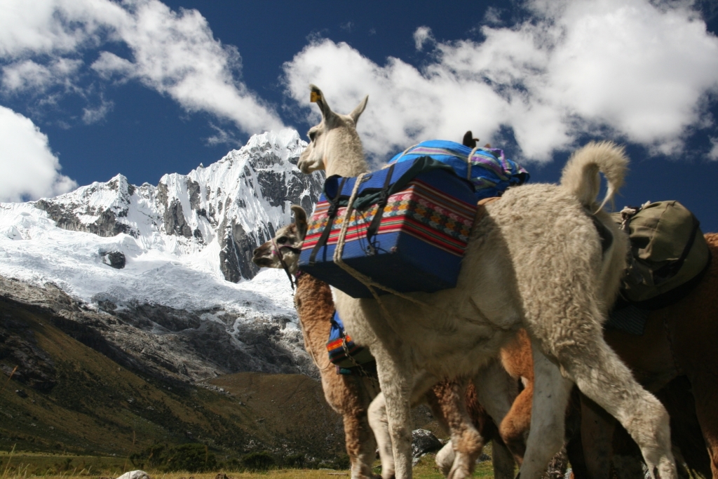 6 propuestas de turismo rural comunitario en Perú para vivir como un ...